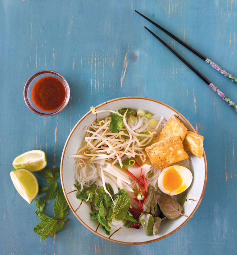 Pho Broth