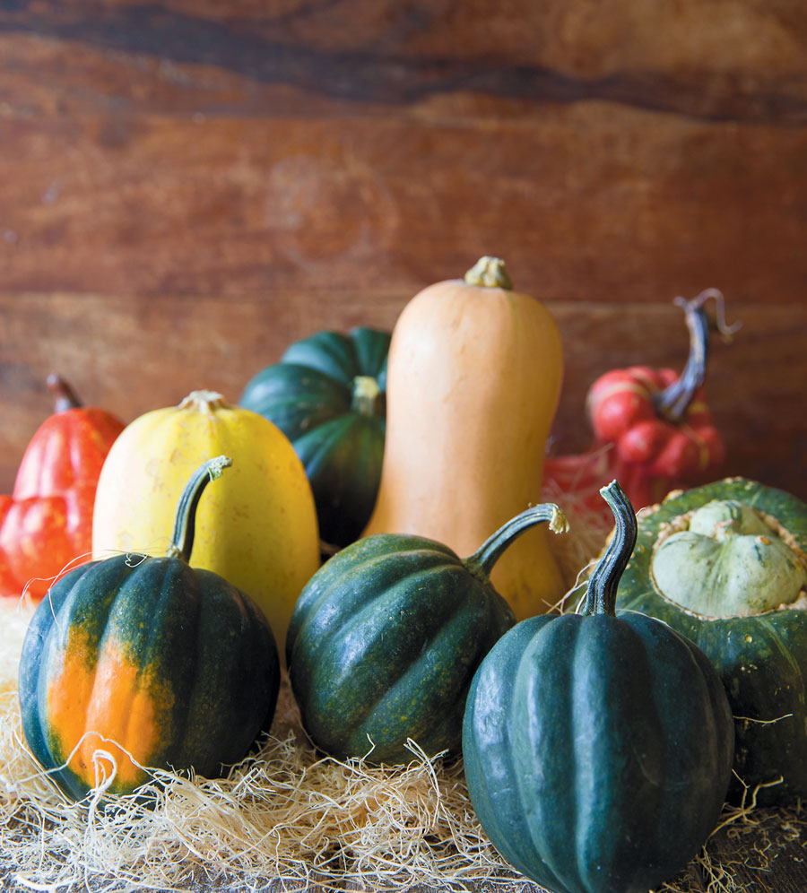 Squash A Fall Favorite