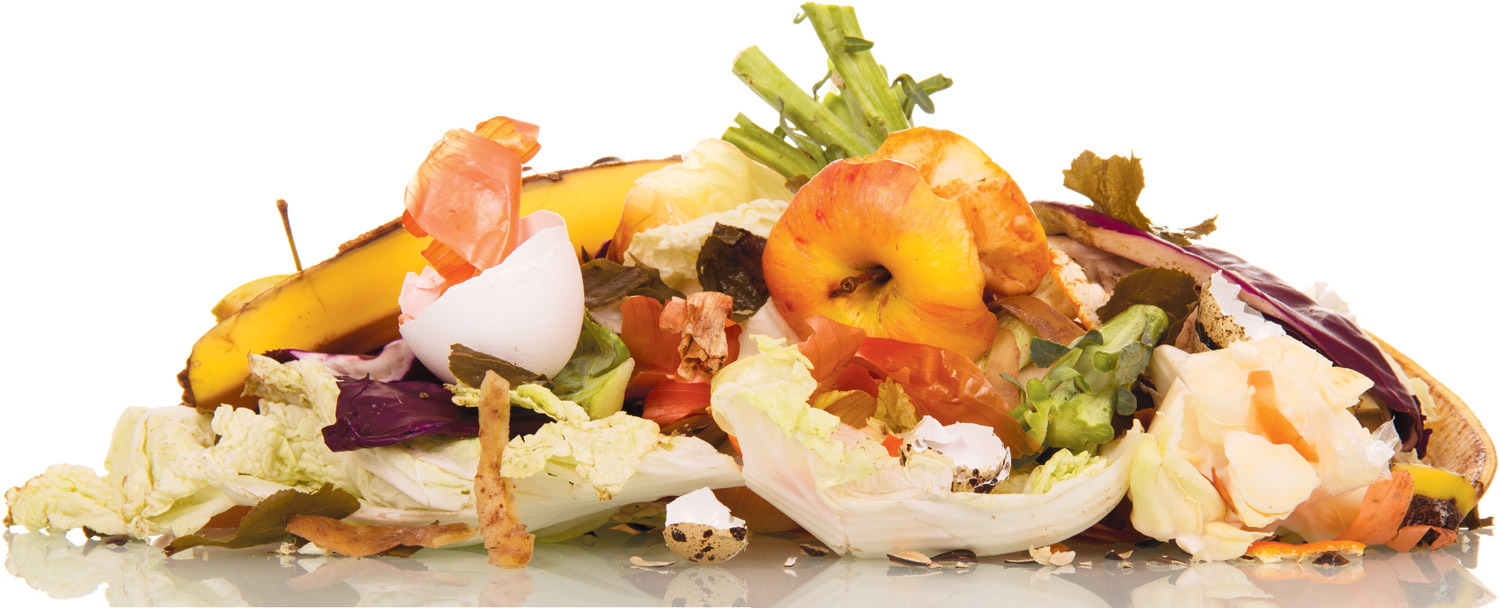 Food Waste From Trash to Treasure